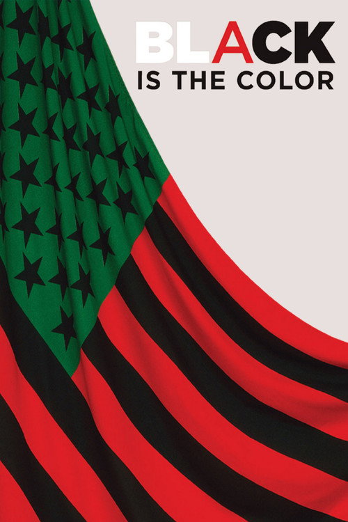 Black Is the Color: African-American Artists and Segregation (2016 ...