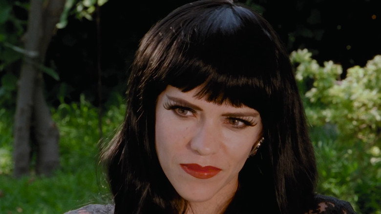 El fotógrafo callejero (2003) - Flickchart